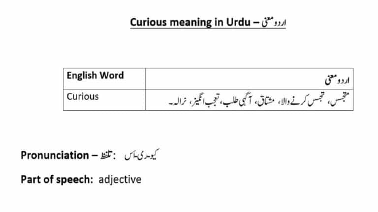 curious meaning in Urdu and its use in example sentences
