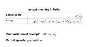 except meaning in Urdu with examples and pronunciation