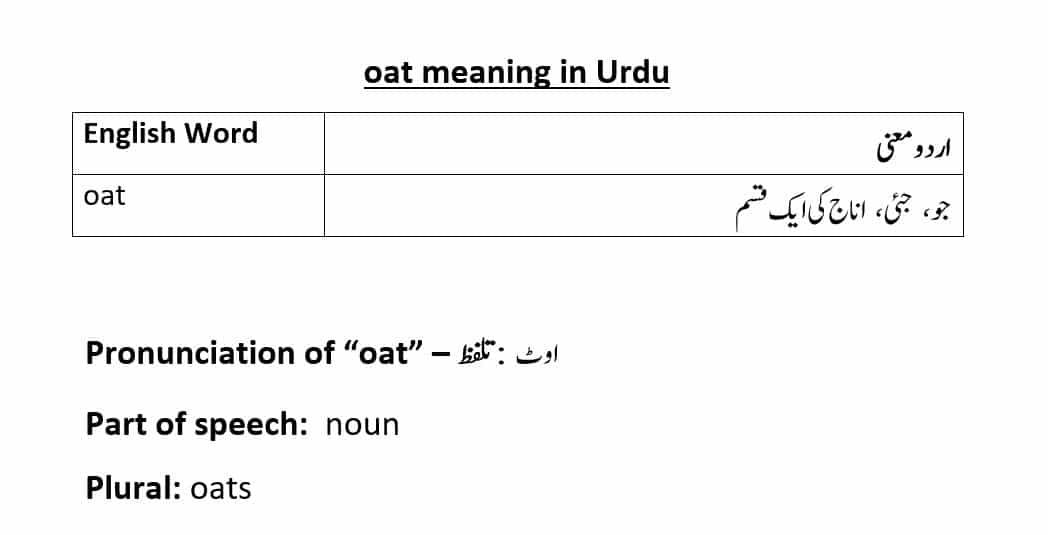 oat, oatmeal and porridge oats meaning in Urdu with examples