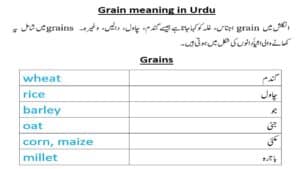 Names of grains beans seeds nuts with Urdu meanings