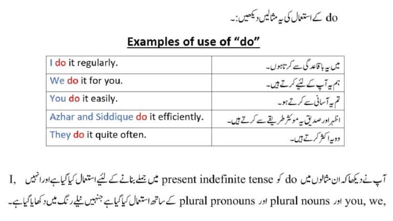 Use of do does did and meaning explained in Urdu with examples