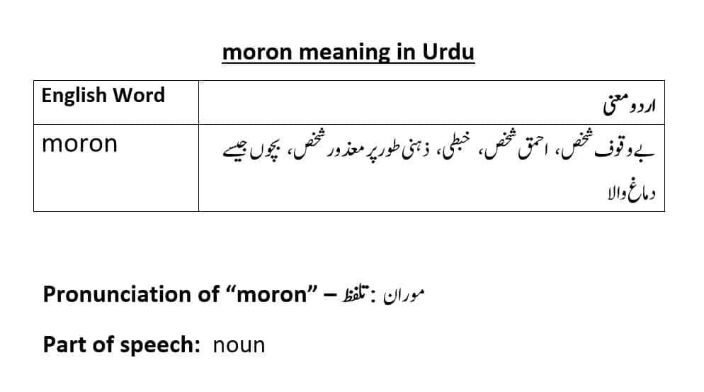 moron meaning in Urdu with examples and pronunciation