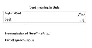 beetroot, beet root, and beet meaning in Urdu with examples